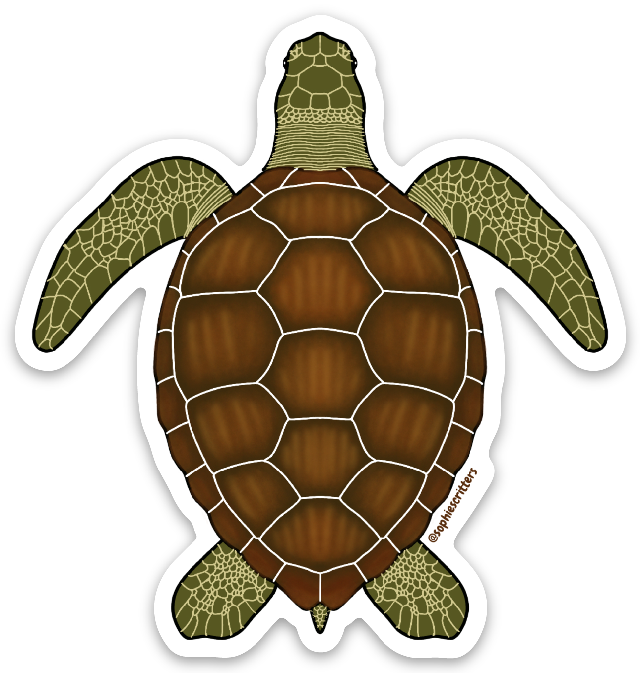 Honu Sea Turtle Sticker – sophiescritters