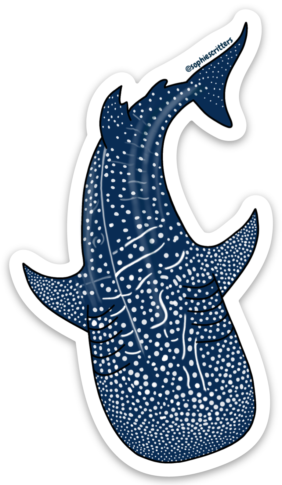 Whale Shark Sticker – sophiescritters